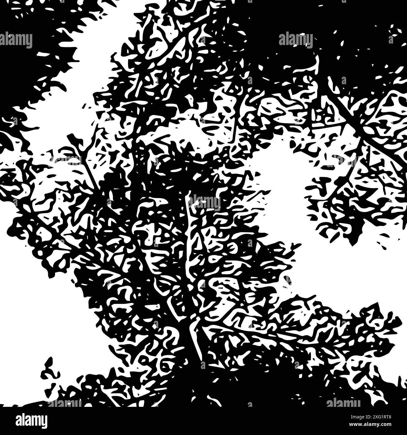 Beautiful tree shapes using as a background or texture template, black ...