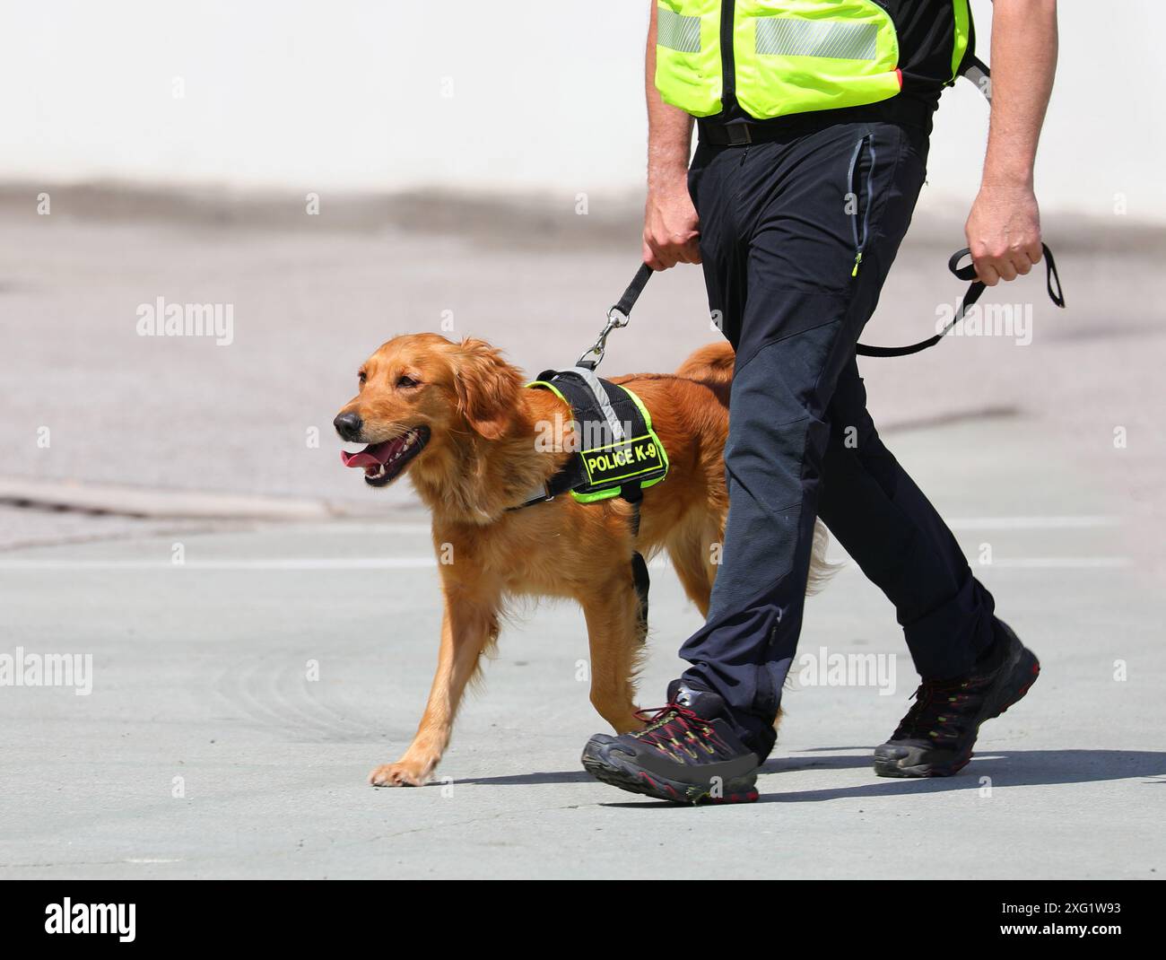 Preventiondog hi-res stock photography and images - Alamy