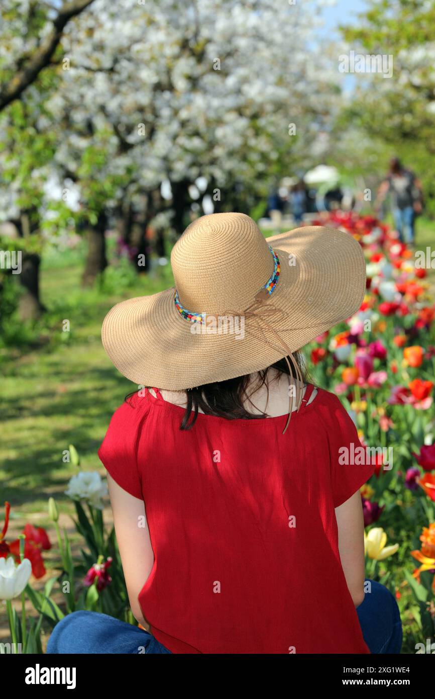 young girl wearing a large boater straw hat in a blooming tulip field ...