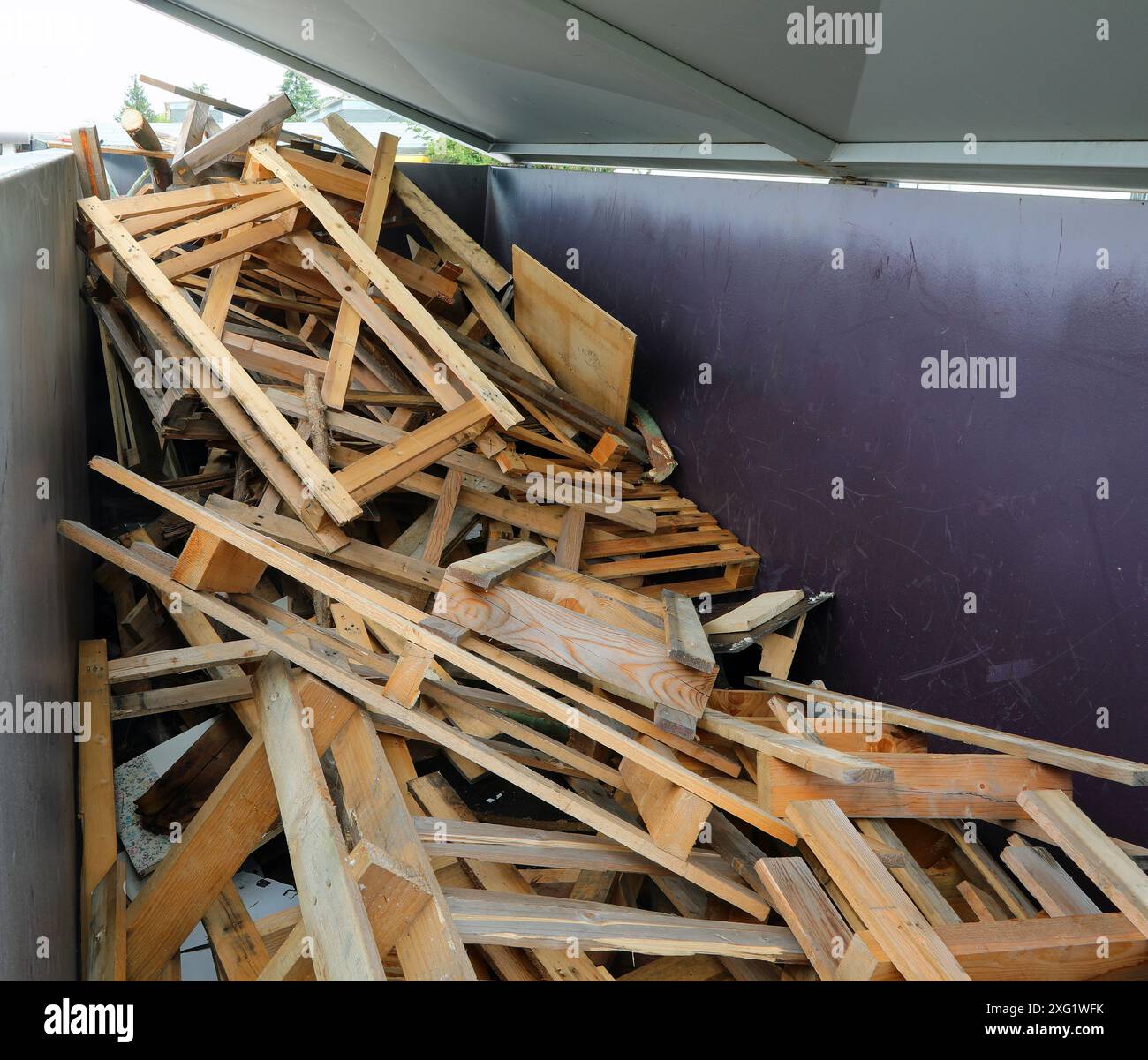 wooden pieces planks and broken pallets in the wood recycling container ...