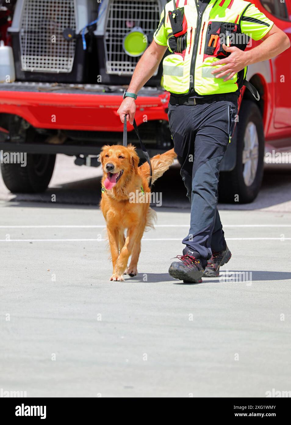 Search and rescue dog handler and his canine companion tracking missing ...