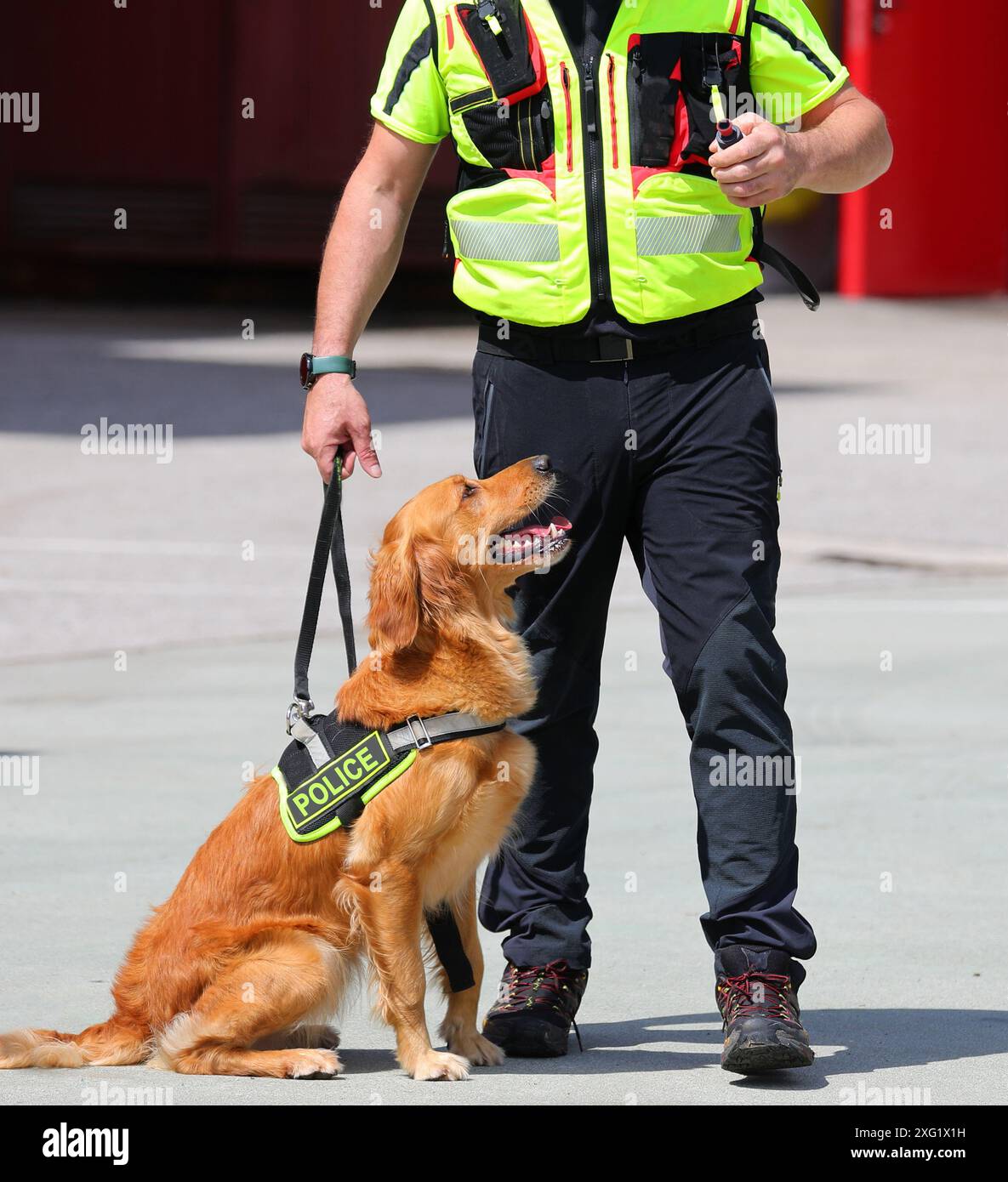 Drug sniffing dog from the K-9 unit of the narcotics squad during a ...