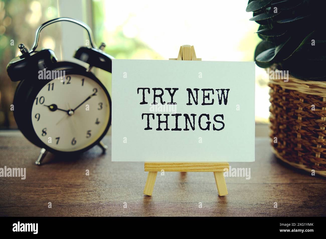 Try new things text message, inspiration motivation concept Stock Photo ...