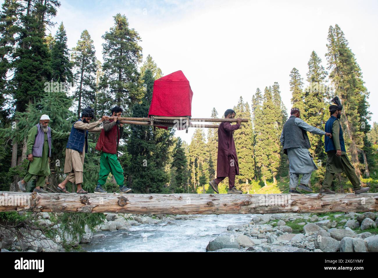 Gujjar (nomad) men carry a bride in the traditional palanquin as they walk towards the groom's ...
