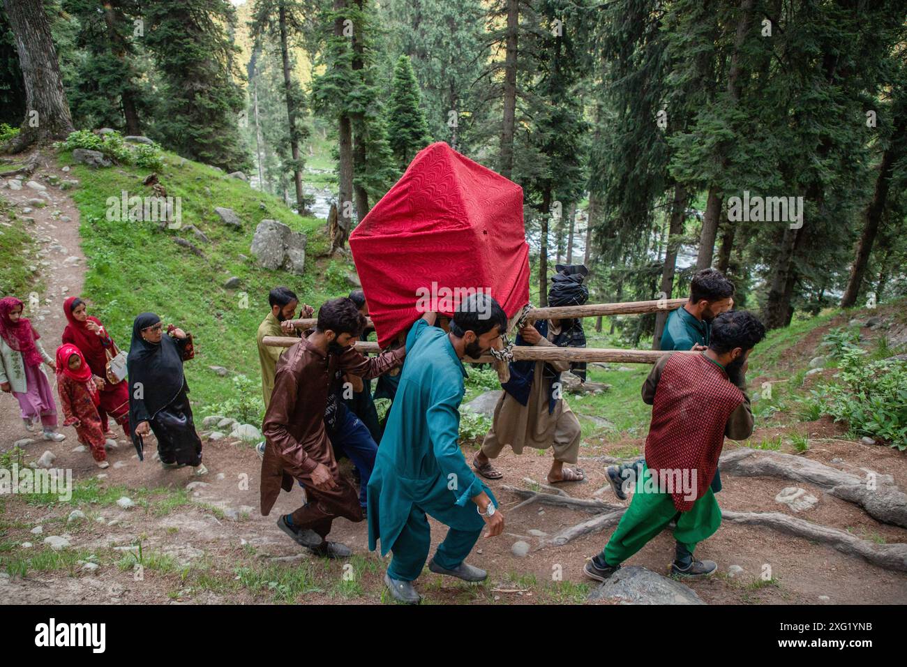 Gujjar (nomad) men carry a bride in the traditional palanquin as they ...
