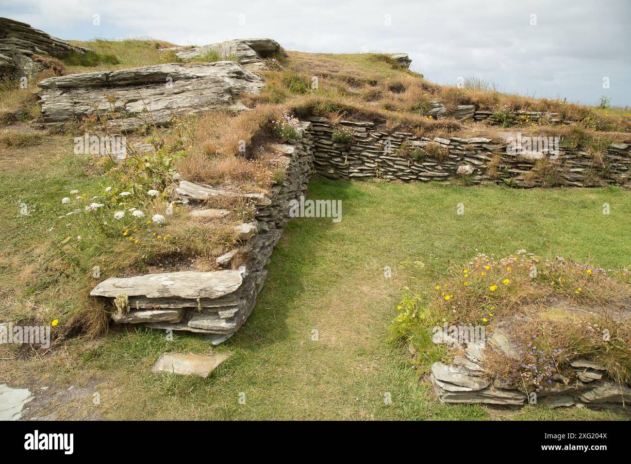 Tintagel headland Cornwall Stock Photo - Alamy