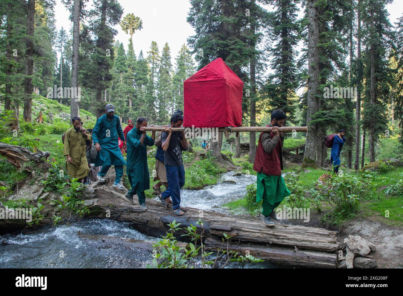 Gujjar (nomad) men carry a bride in the traditional palanquin as they walk towards the groom's ...
