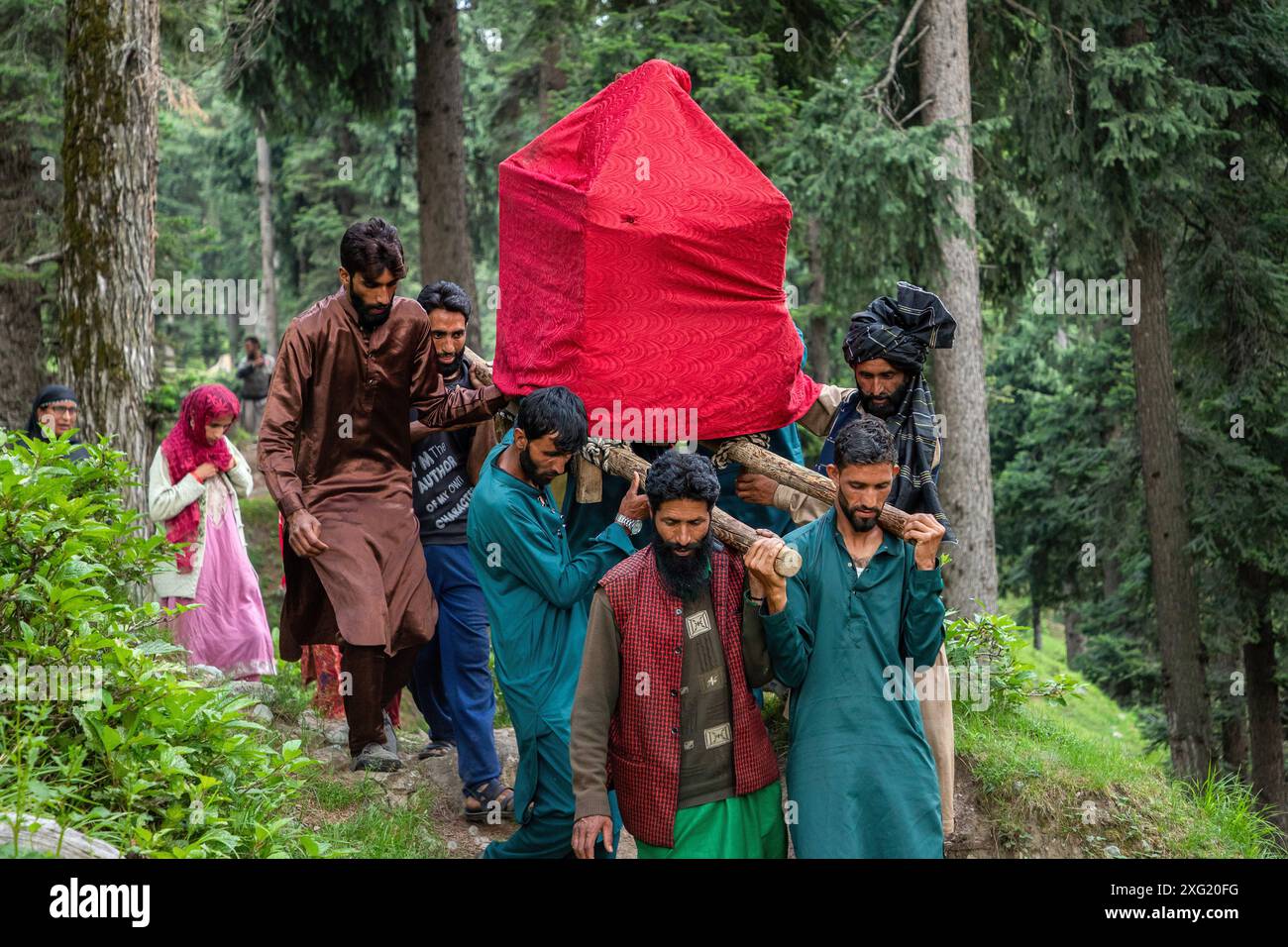 Gujjar (nomad) men carry a bride in the traditional palanquin as they walk towards the groom's ...