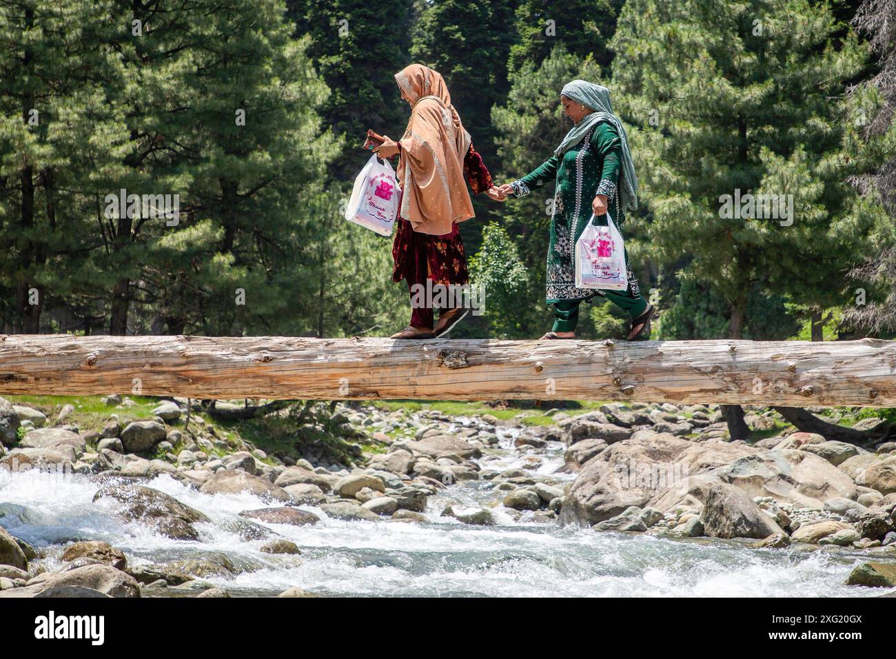 Guests walk towards the groom's home through a wooden log converted into bridge, during the ...