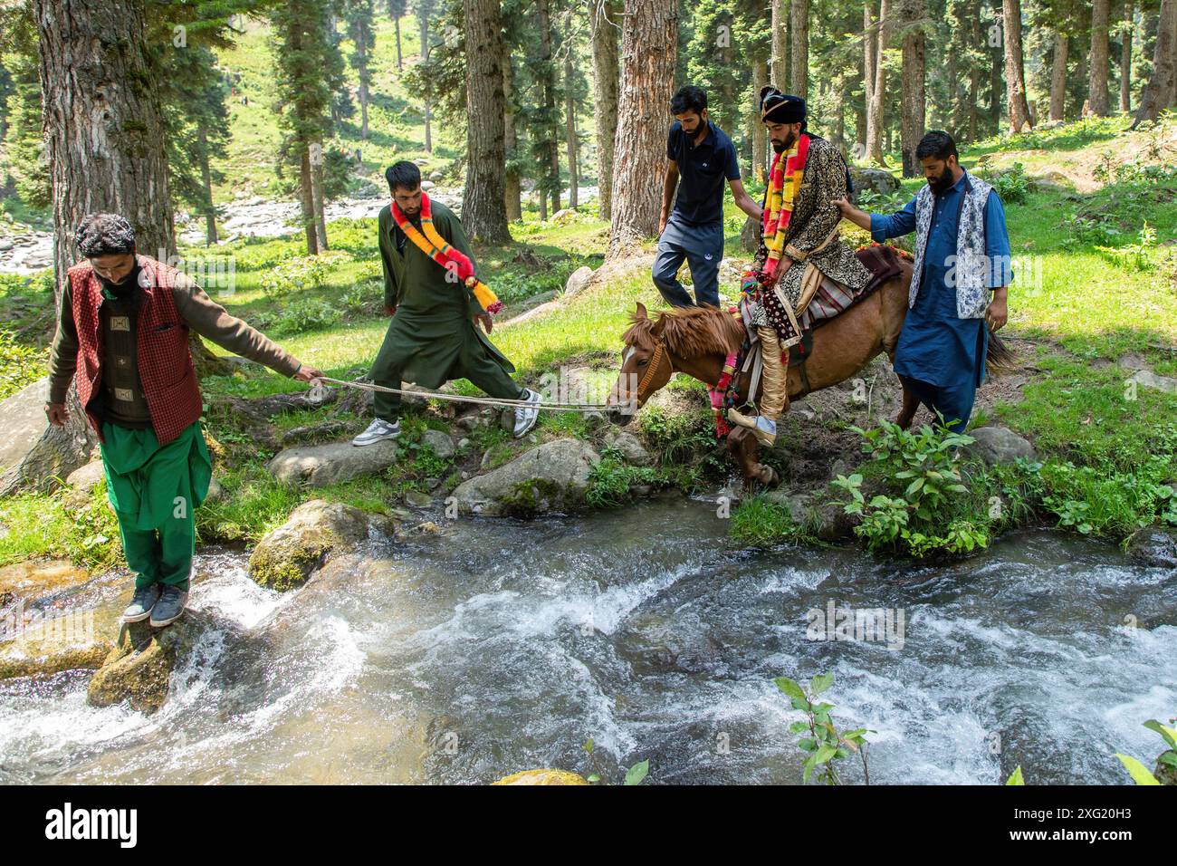 A Gujjar (nomad) groom rides a horse through a stream to reach his ...
