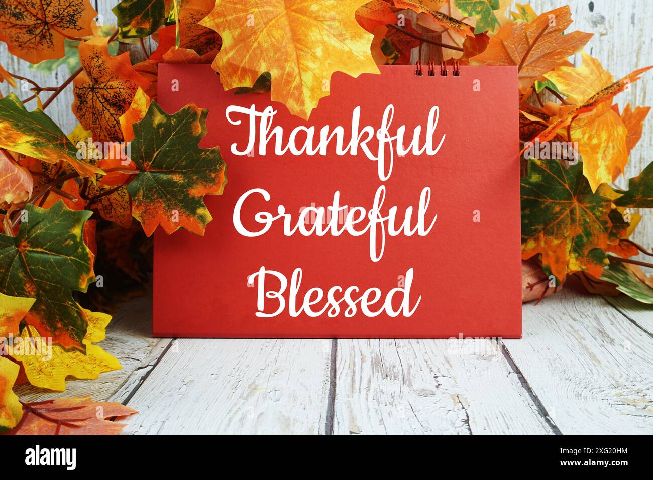 Thankful, grateful and blessed inspirational words with maple leaf ...