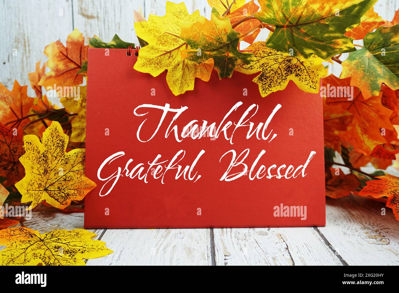 Thankful, grateful and blessed inspirational words with maple leaf ...