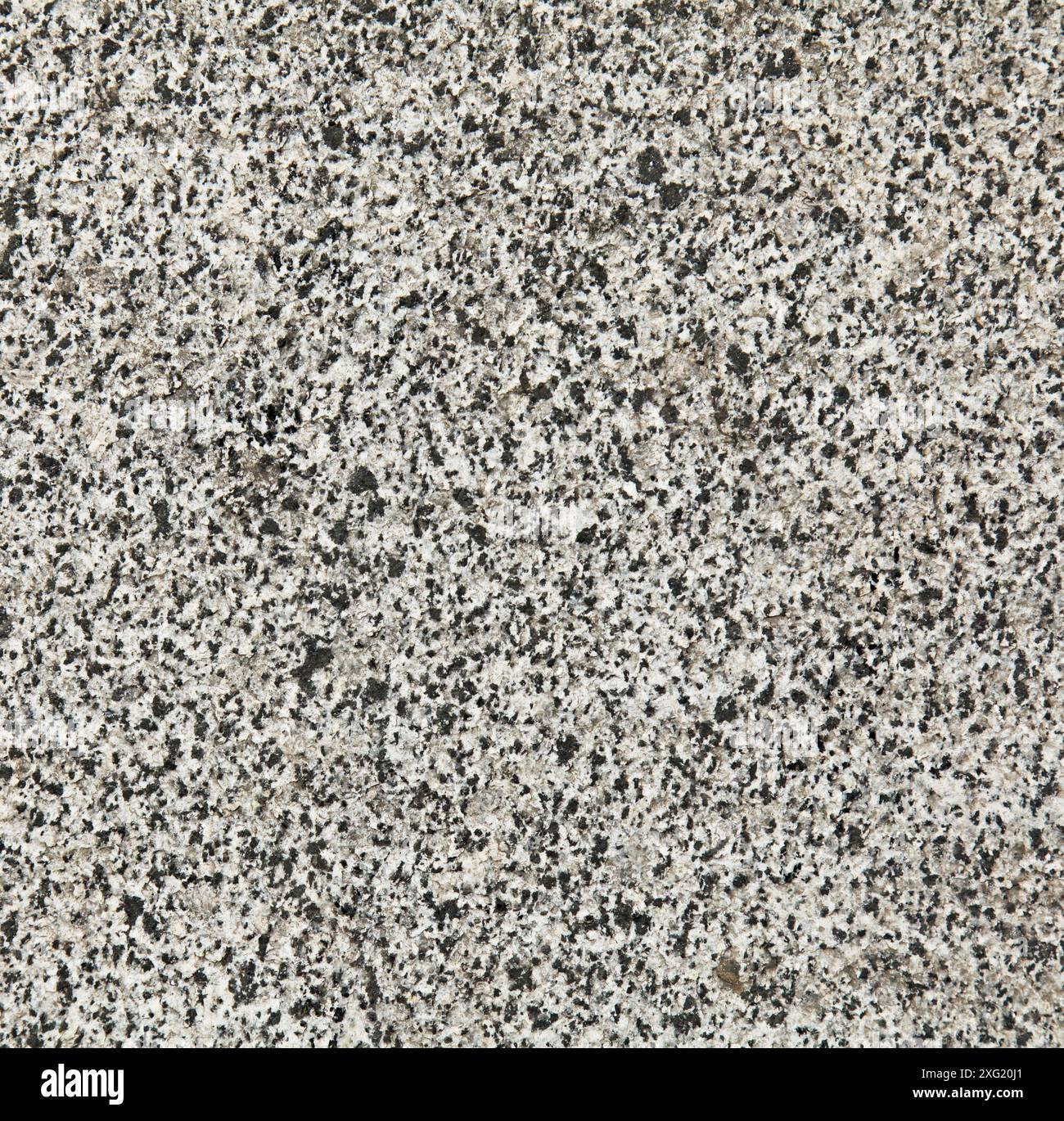 Grey, spotted granite, texture, backdrop. A variegated, spotted ...
