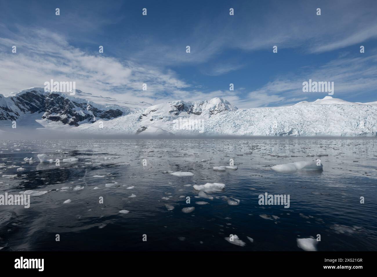 Antarctic wildlife exploration hi-res stock photography and images - Alamy