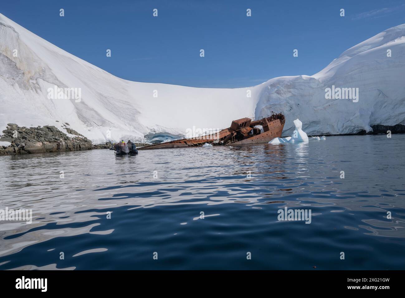 Antarctic wildlife exploration hi-res stock photography and images - Alamy
