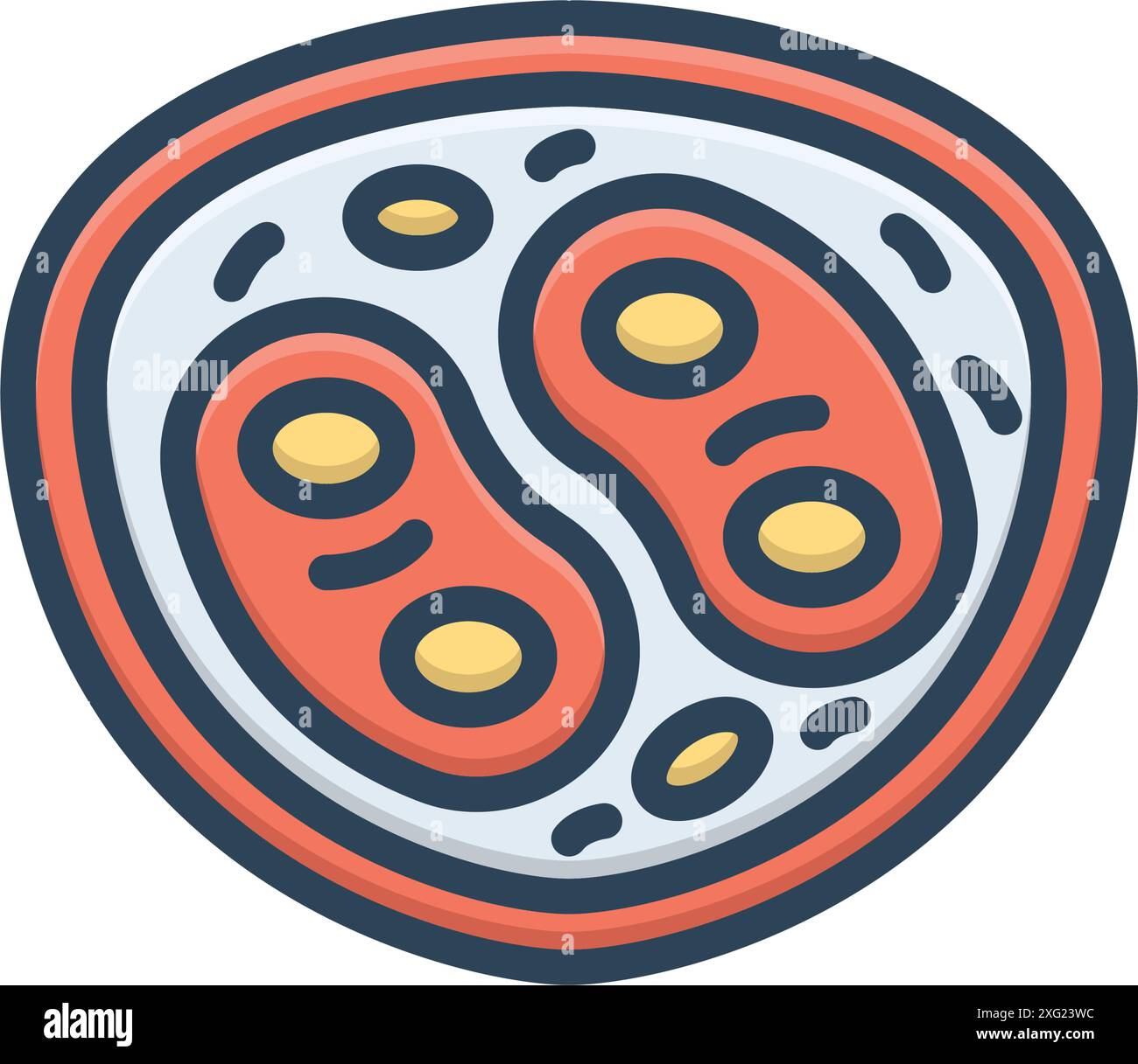 Icon for cells,human cell Stock Vector Image & Art - Alamy