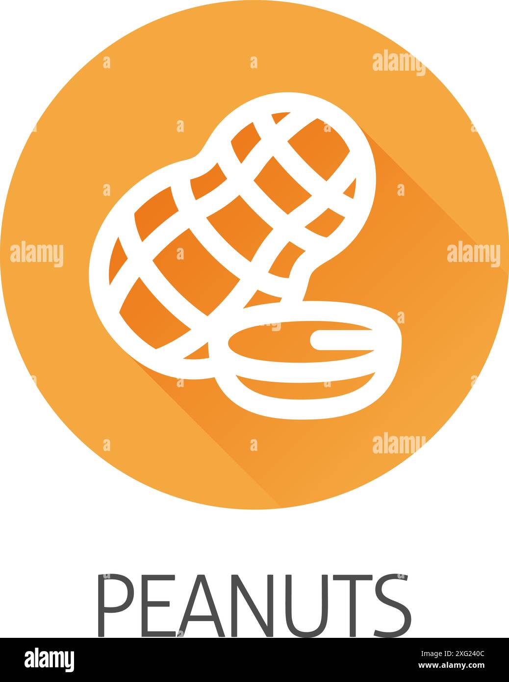 Peanut Nut Food Allergy Icon Concept Stock Vector Image & Art - Alamy