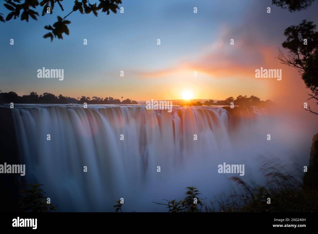 Zimbabwe golden hi-res stock photography and images - Alamy