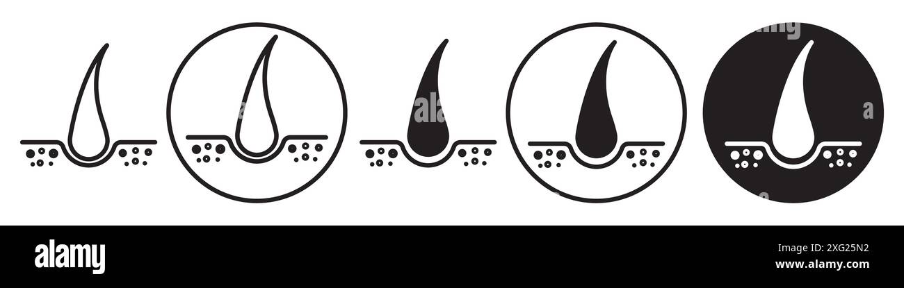 Hair Icon vector set collection for web vector set collection for app ...