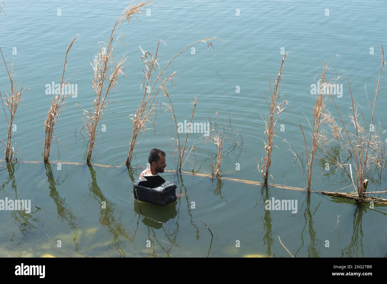 An Egyptian fisherman checks his fish traps using wire baskets and reed ...