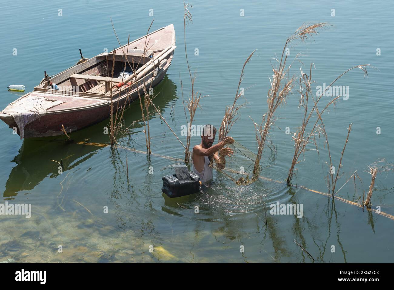 An Egyptian fisherman checks his fish traps using wire baskets and reed ...