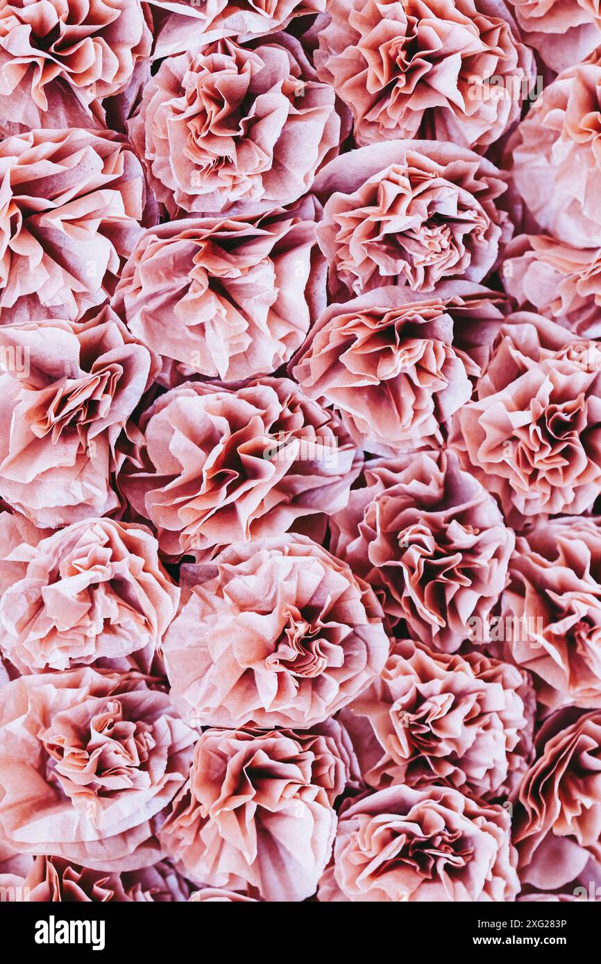 Handmade pink crepe paper flowers to decorate a float in a party Stock ...