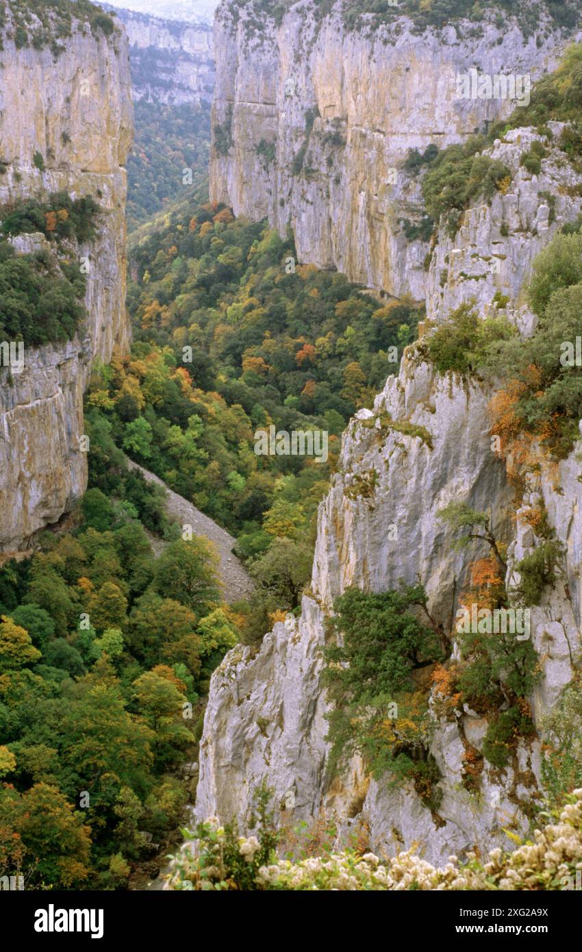 Foz de Arbayun, Valle de Salazar. Navarre. Spain Stock Photo - Alamy