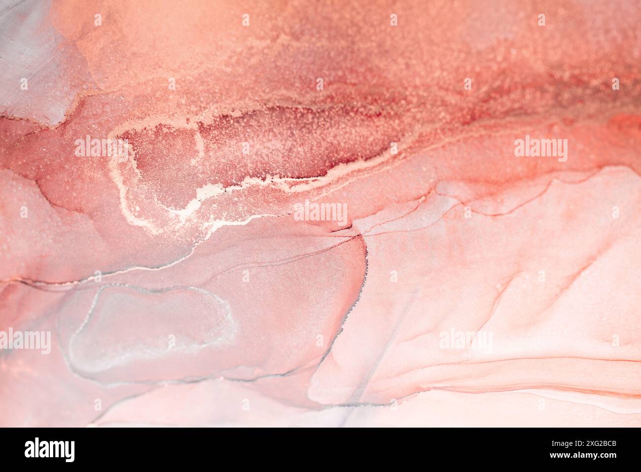 A close-up photograph showcasing abstract art in shades of blush pink ...