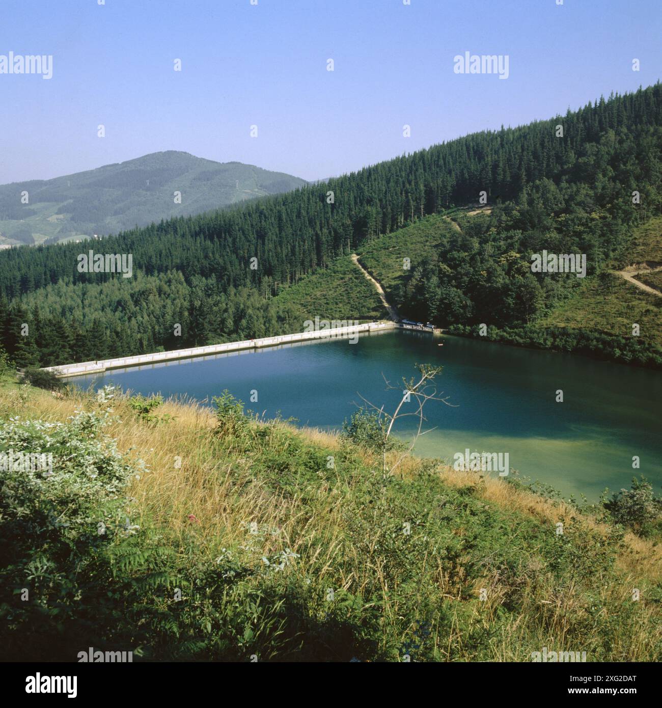 Urtatza reservoir, Legazpi, Guipúzcoa, Basque Country, Spain Stock ...