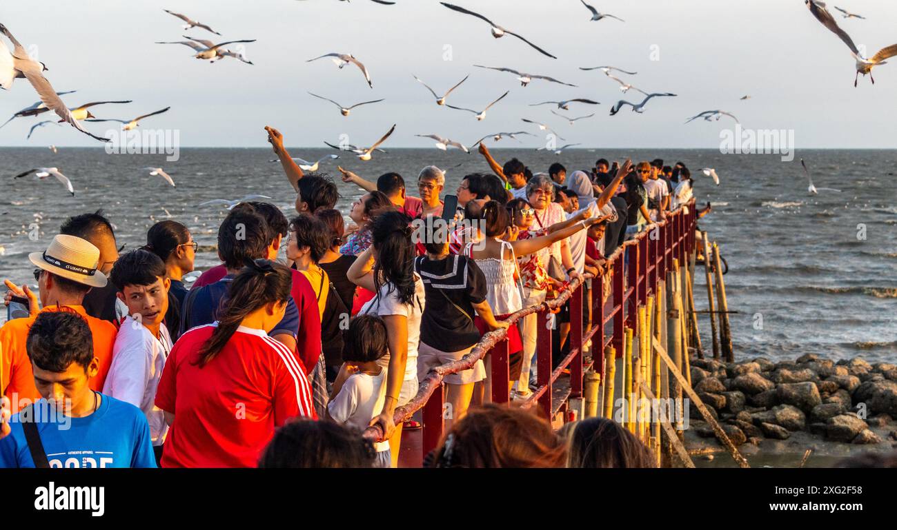Dolphin structure bridge hi-res stock photography and images - Alamy