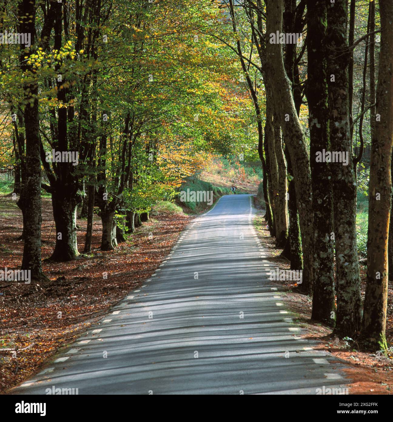 Tolosa spain road hi-res stock photography and images - Alamy