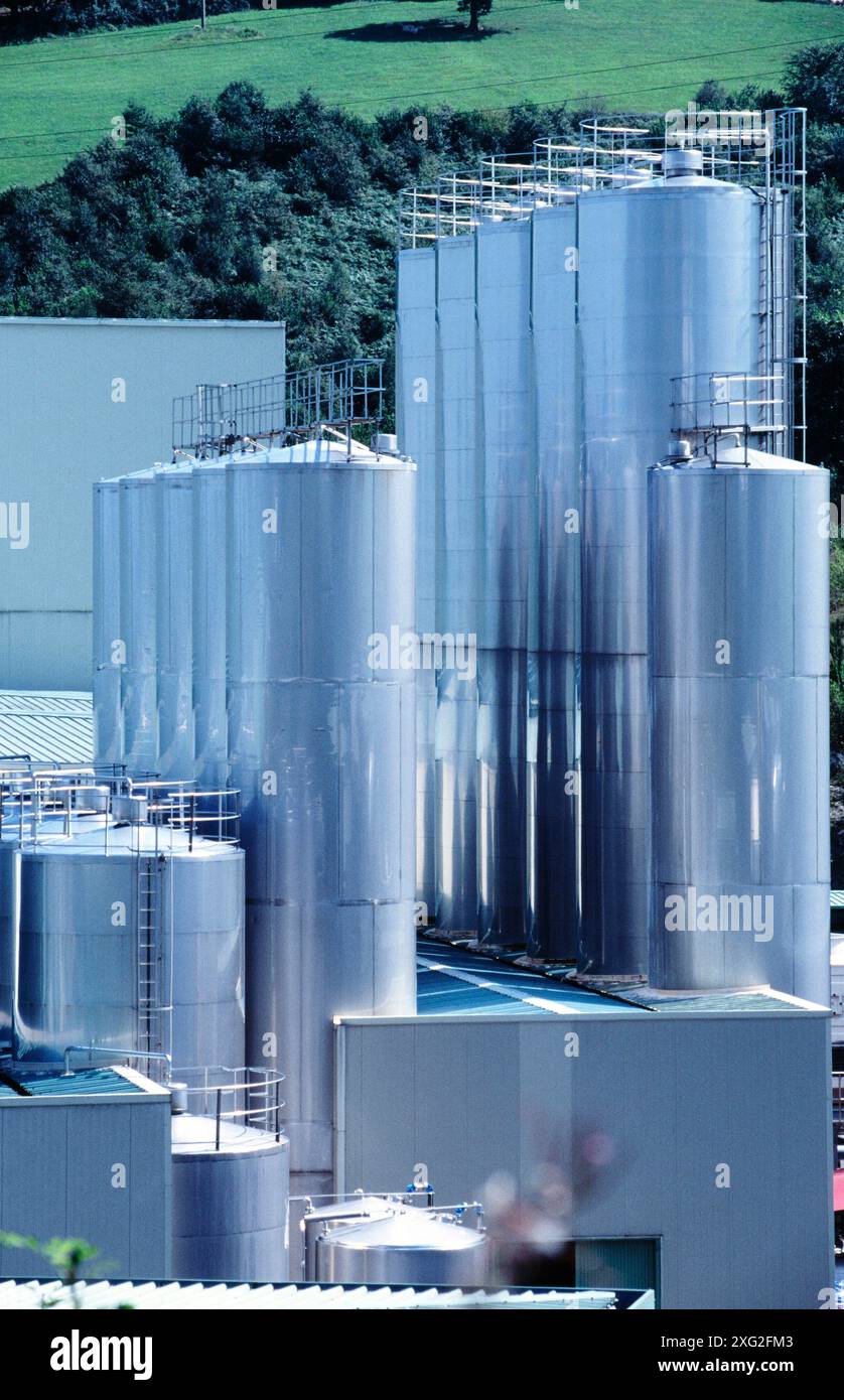 Food industry. Milk tanks Stock Photo - Alamy