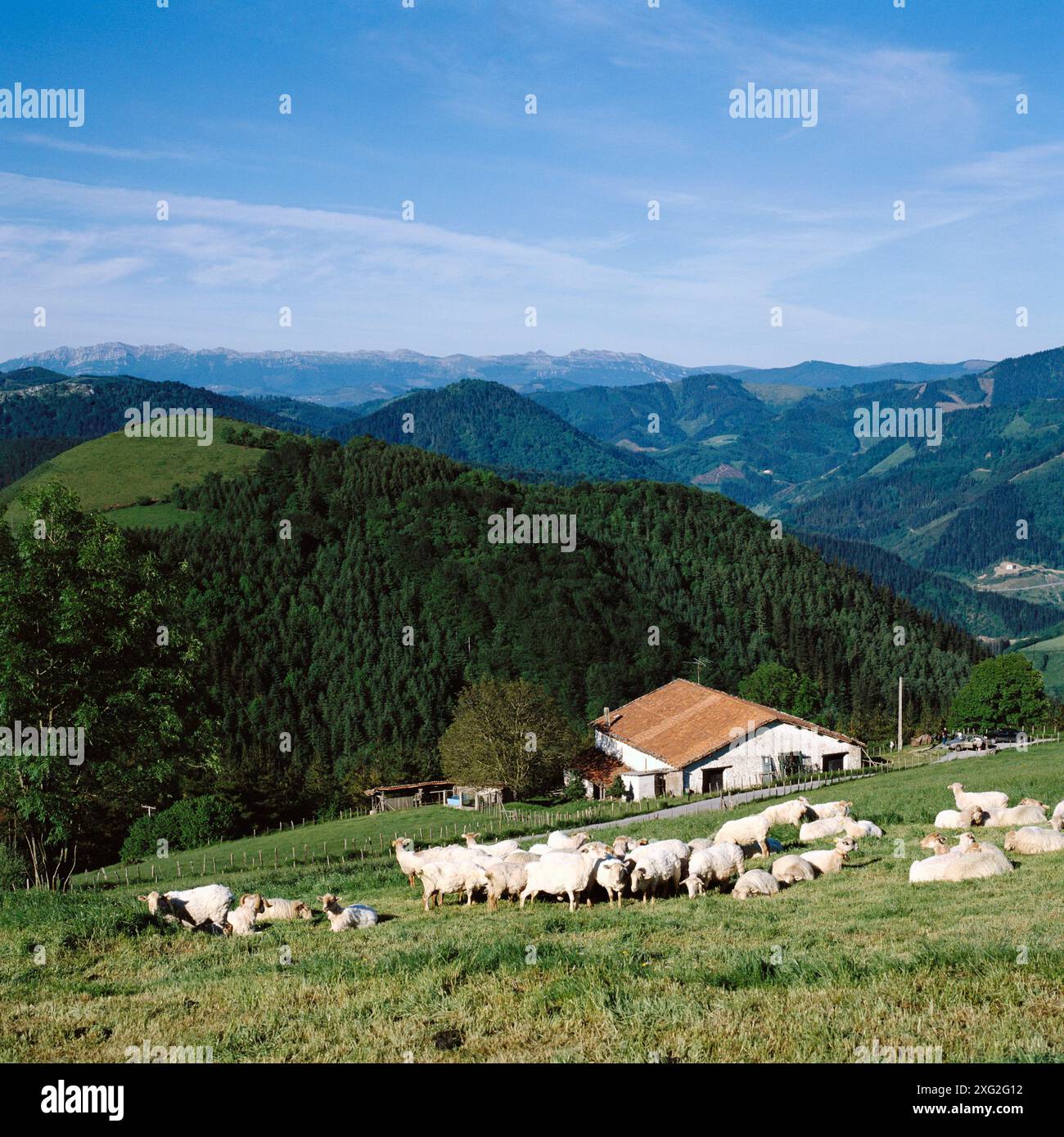 Beizama hi-res stock photography and images - Alamy