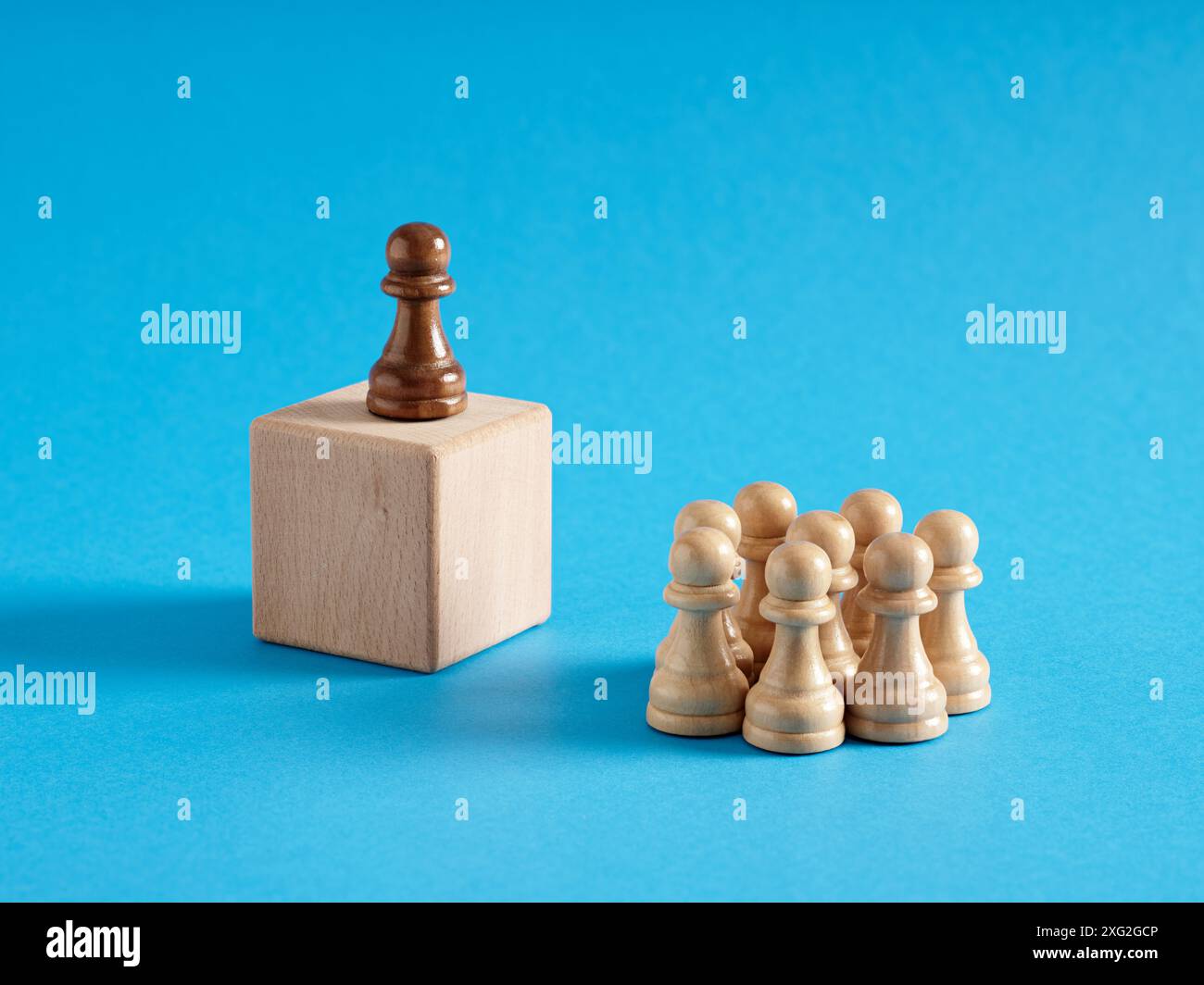 Political speech, debate and elections. Leadership, campaign and ...