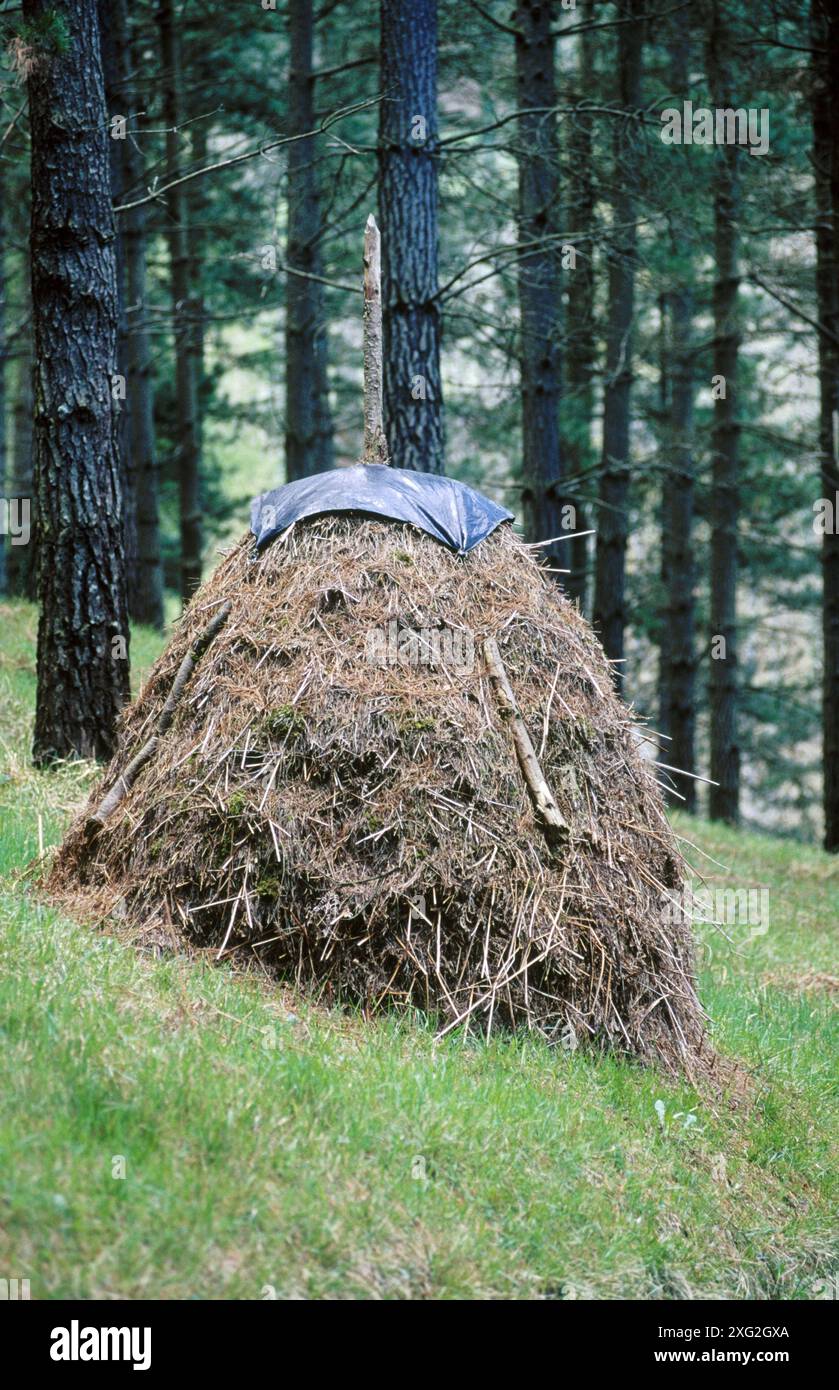 Haystack forage hi-res stock photography and images - Alamy