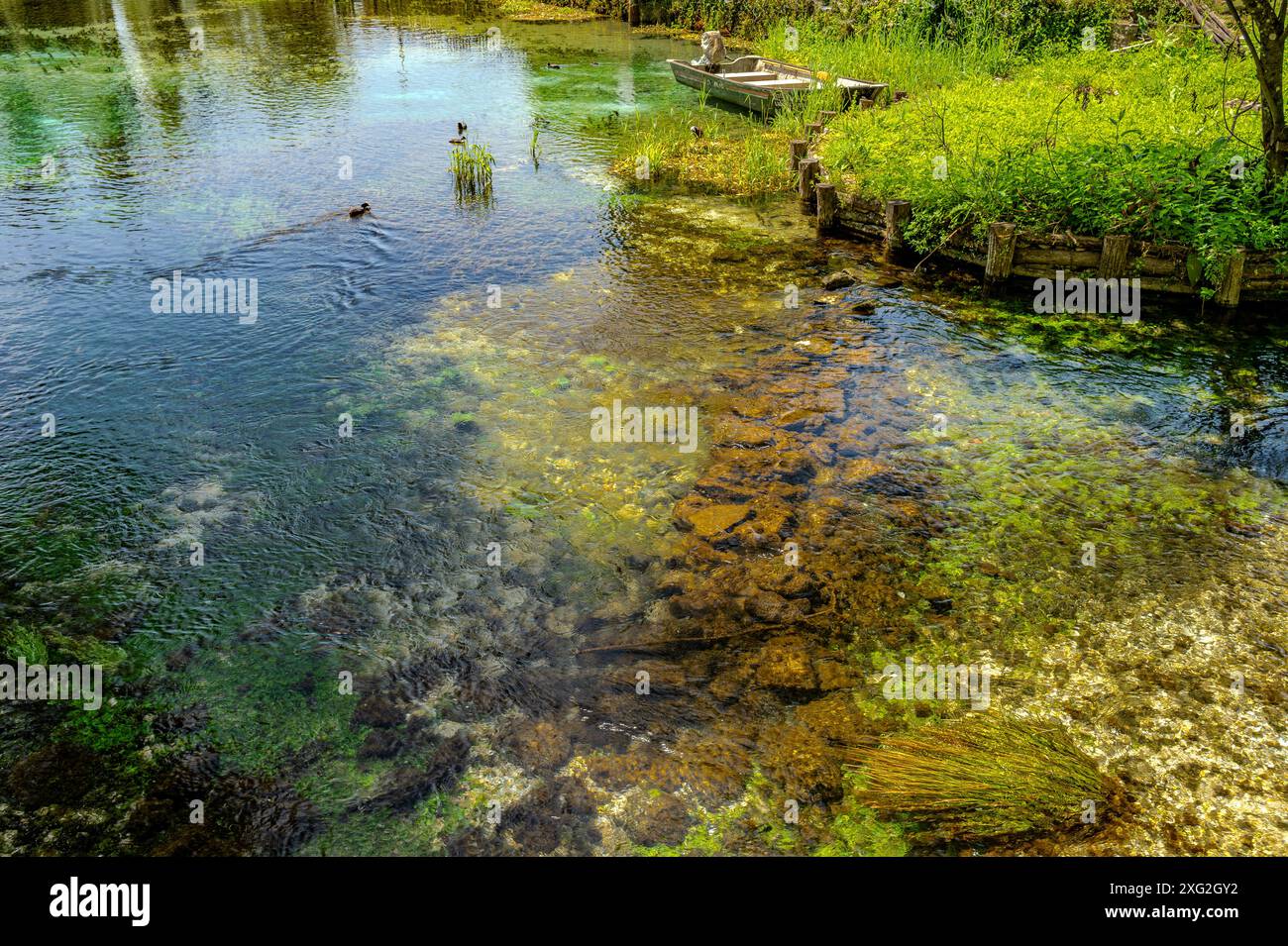 The Posta Fibreno lake is located in the Comino Valley. In addition to ...