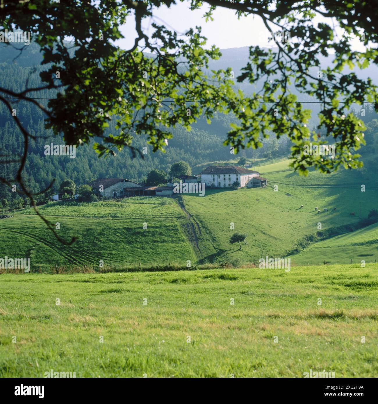 Country house, Legazpi. Guipuzcoa, Euskadi, Spain Stock Photo - Alamy