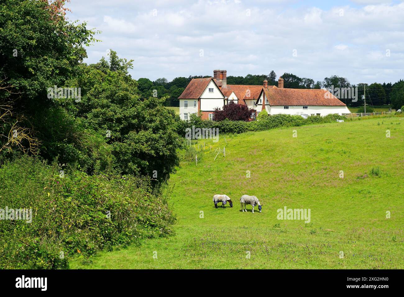 Little Lodge Farm, Castle Hedingham Stock Photo - Alamy