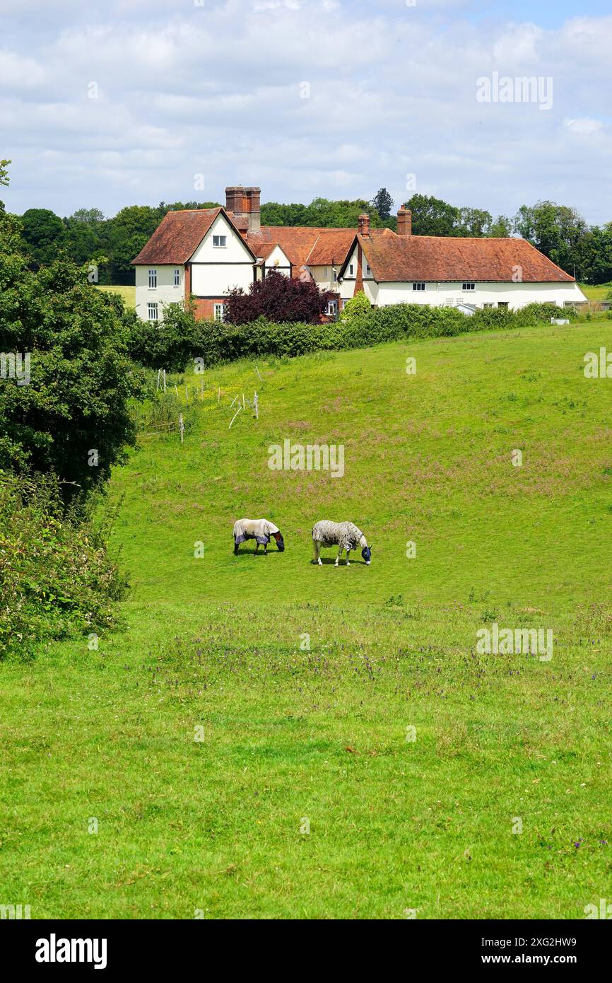 Little Lodge Farm, Castle Hedingham Stock Photo - Alamy