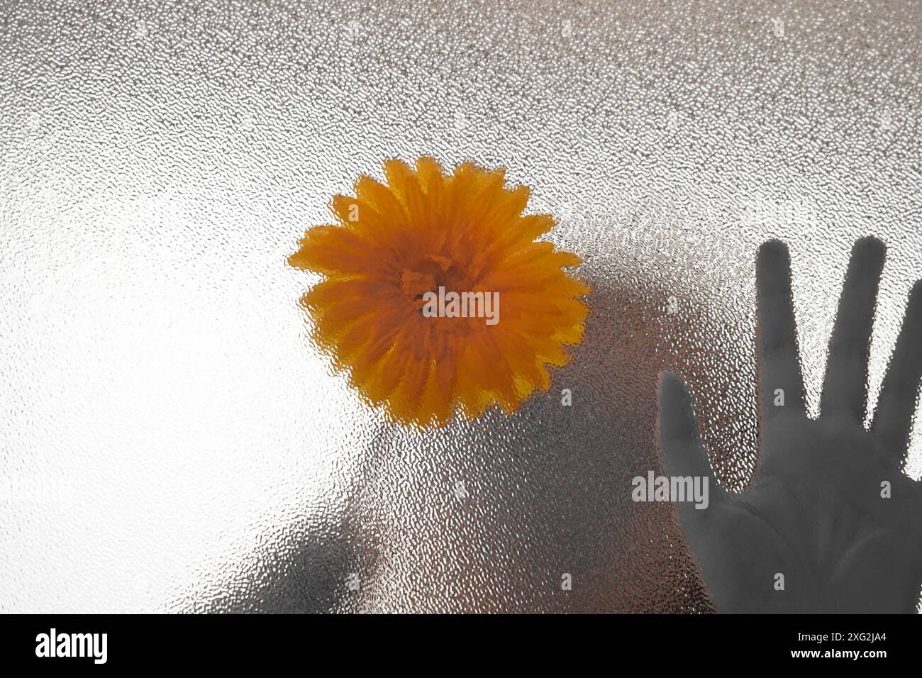 Woman hand sign for stop abusing violence, human trafficking, stop ...