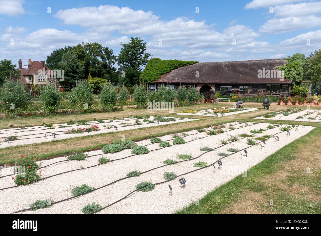 View of the Trials Garden at RHS Garden Wisley, Surrey, England, UK ...