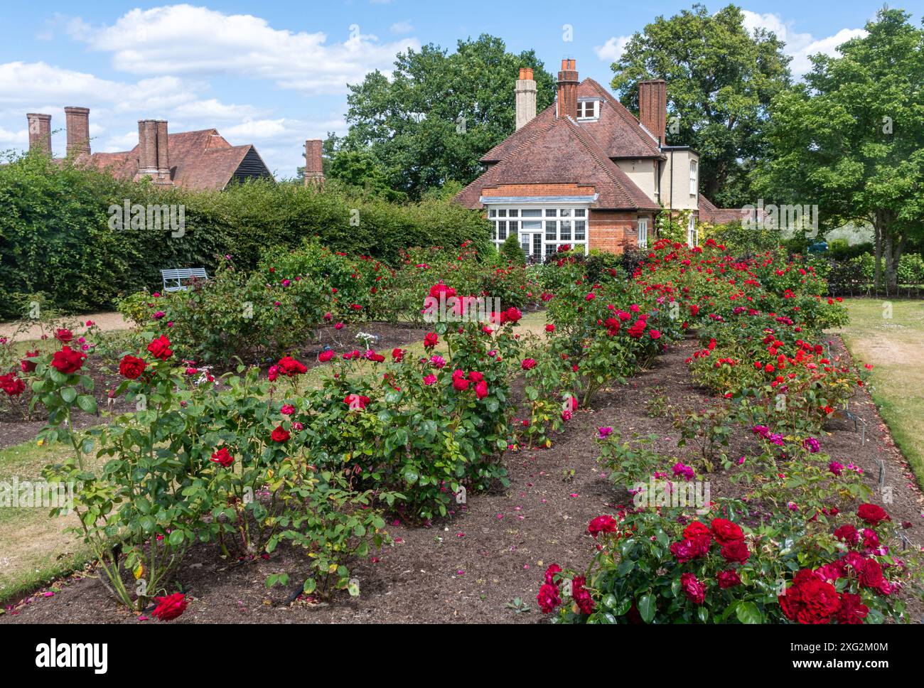 View of the Trials Garden at RHS Garden Wisley, Surrey, England, UK ...
