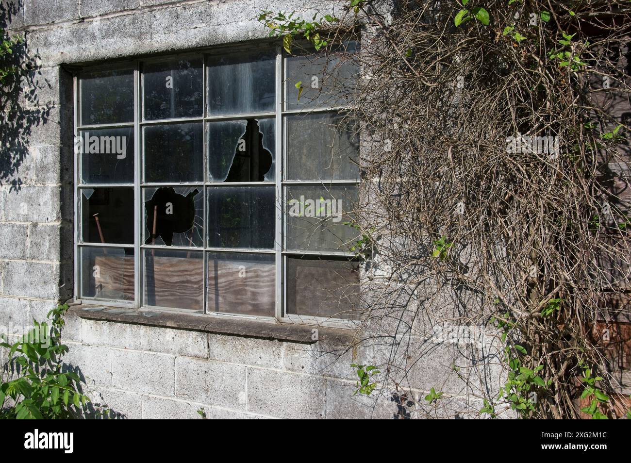 Abandoned block building with broken windows Stock Photo - Alamy