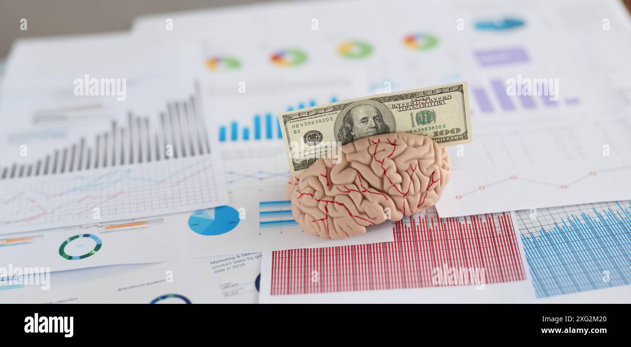 Banknote fit in anatomical model of human brain, miniature put on ...