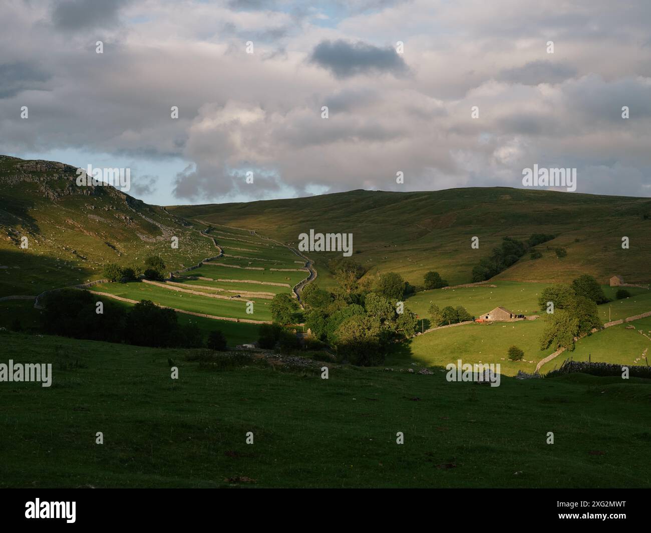 The summerevening low sunlight famland landscape of Malham, Malhamdale ...