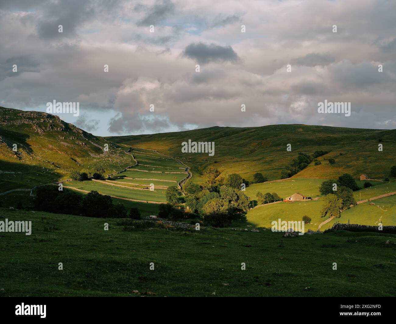 The summerevening low sunlight famland landscape of Malham, Malhamdale ...