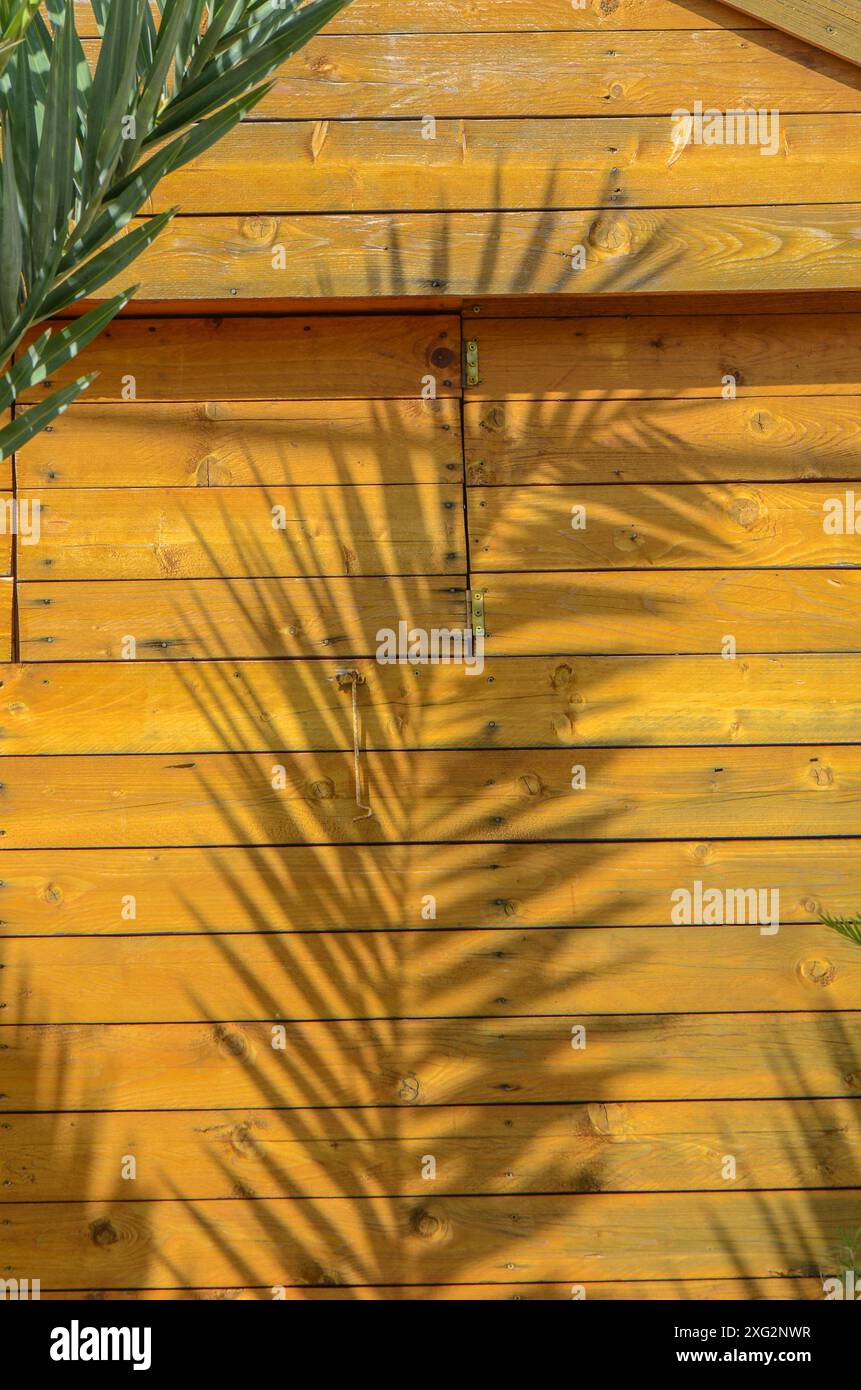 The shade of trees on the wooden plank Stock Photo - Alamy
