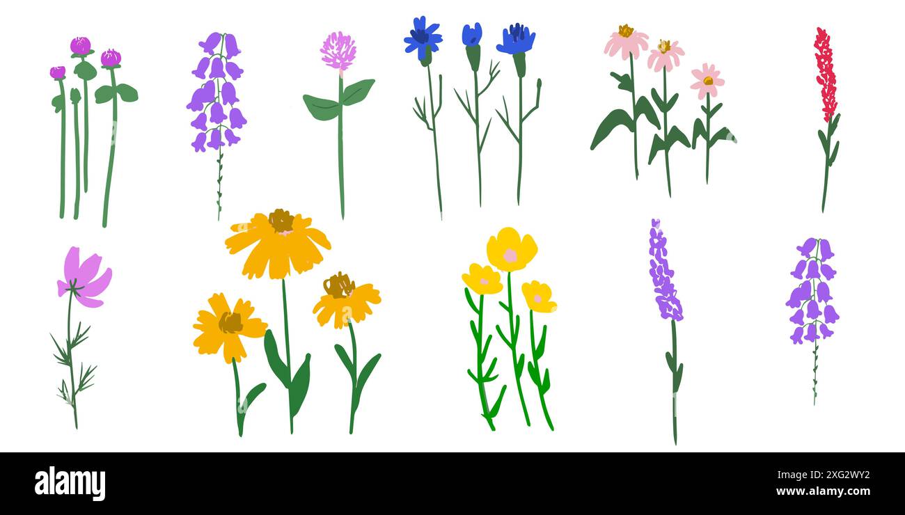 Set of field flowers isolated, folk style Stock Vector Image & Art - Alamy