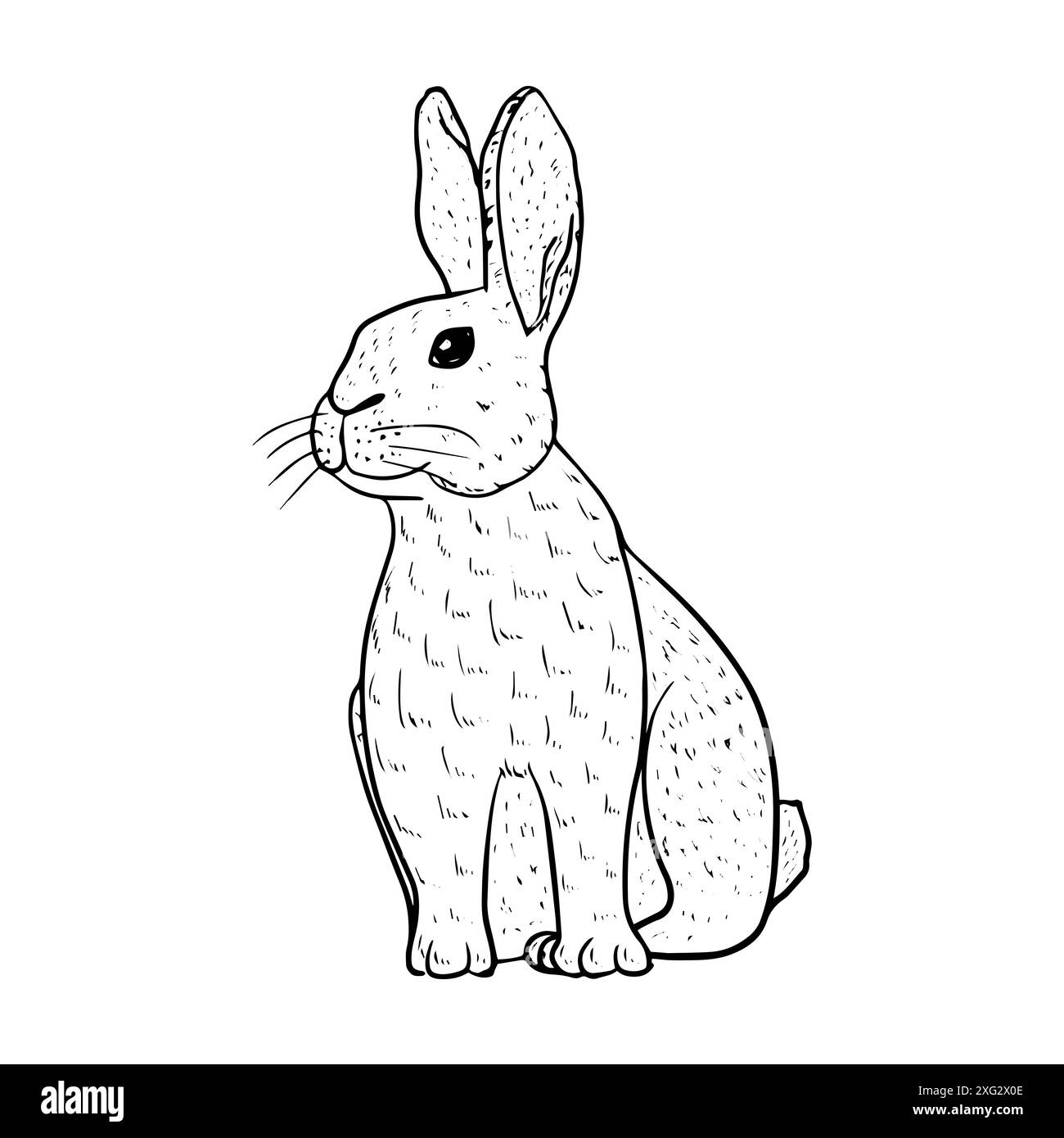 Rabbit illustration drawing engraving line hi-res stock photography and ...