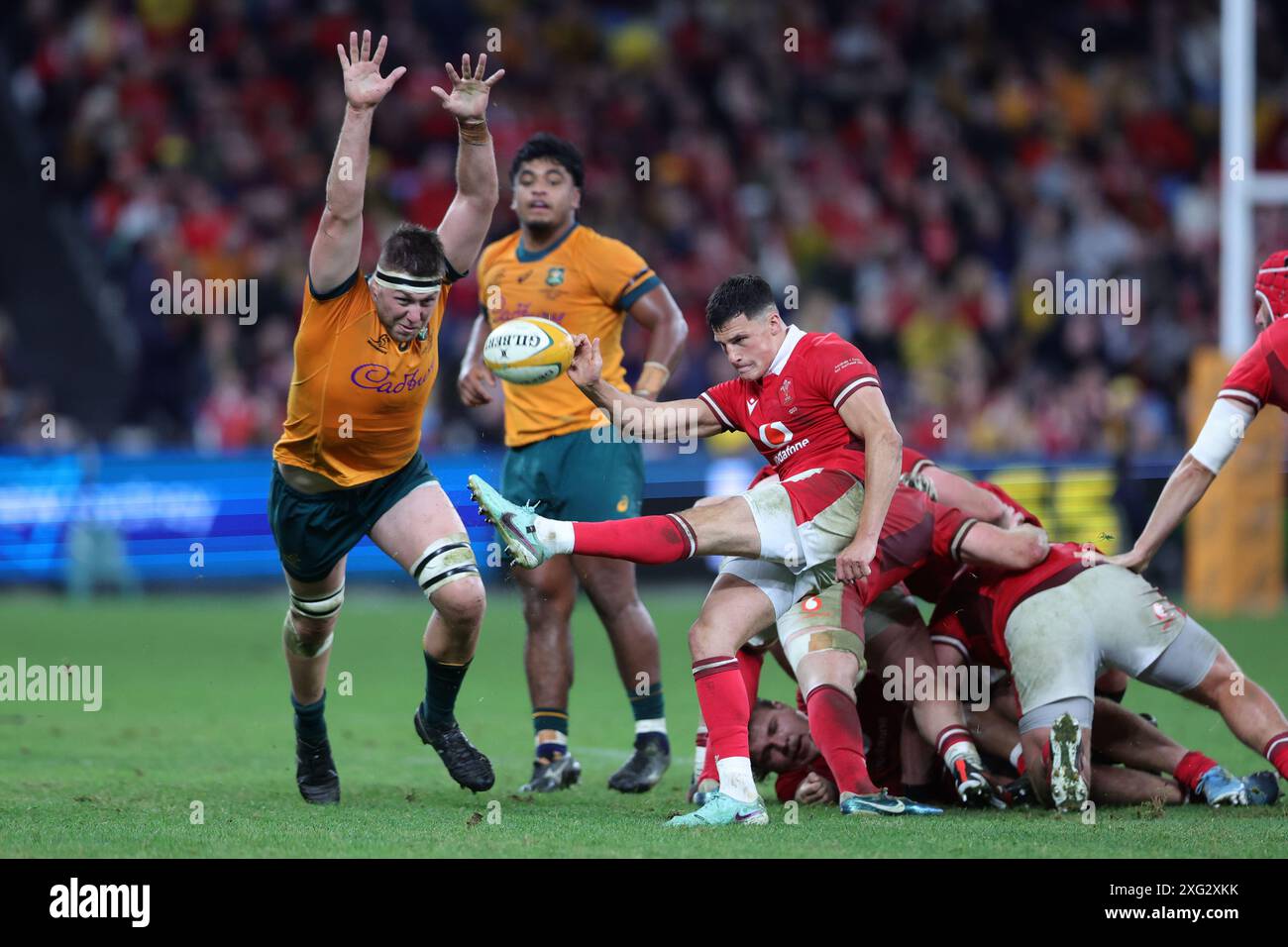 Angus blyth hi-res stock photography and images - Alamy